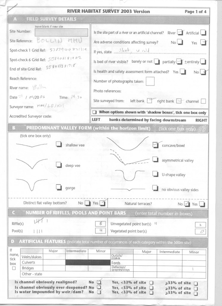 Surveys | Riverdene Consultancy